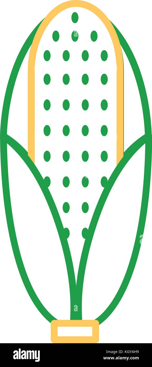 Isolated corn design Stock Vector Image & Art - Alamy