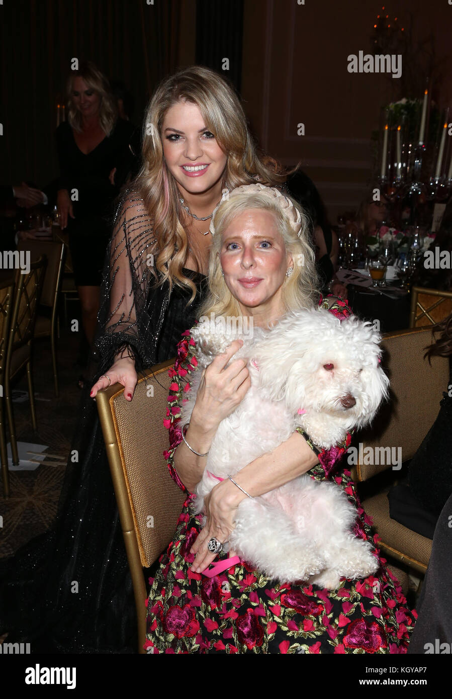 Los Angeles, Ca, USA. 9th Nov, 2017. Pandora Todd, Mindy Levine, at the ...