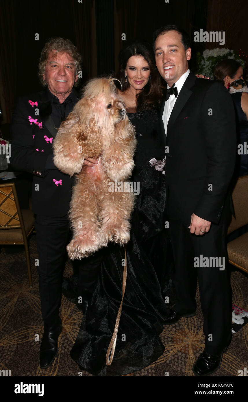 Los Angeles, Ca, USA. 9th Nov, 2017. Ken Todd, Pandora Todd, Guest, at ...