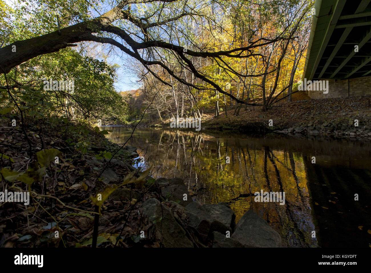 Washington, District of Columbia, USA. 10th Nov, 2017. Fall foliage is ...