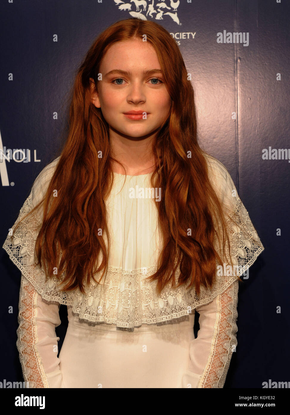 New York, NY, USA. 10th Nov, 2017. Sadie Sink attends the Humane ...