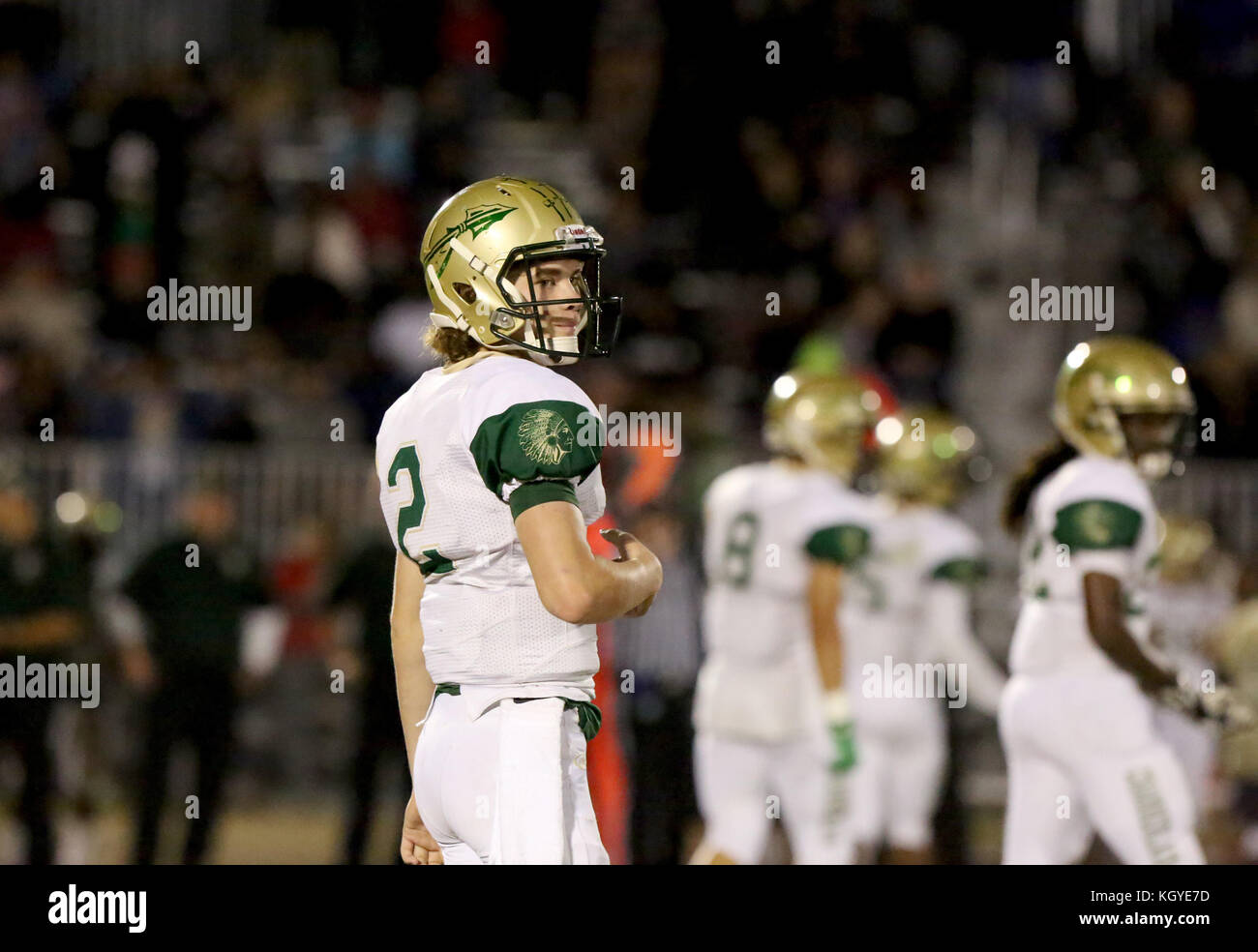 New Port Richey, Florida, USA. 10th Nov, 2017. DOUGLAS R. CLIFFORD ...