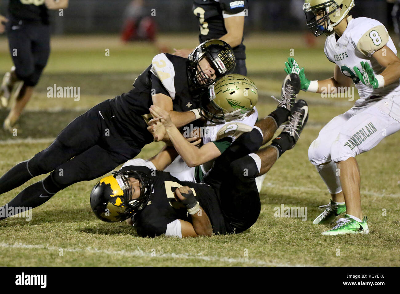 New Port Richey, Florida, USA. 10th Nov, 2017. DOUGLAS R. CLIFFORD ...