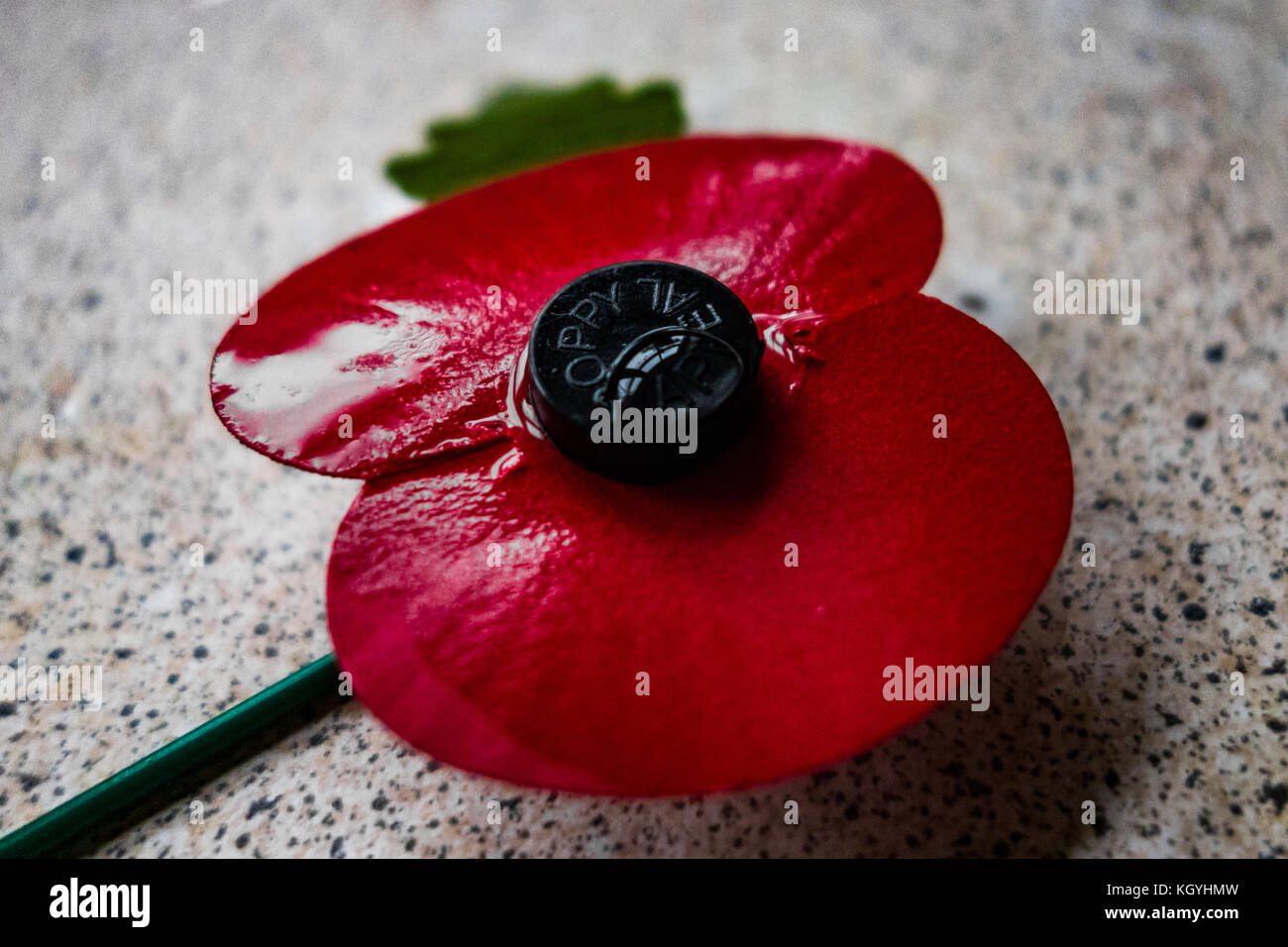Leominster, UK. 11th Nov, 2017. A Poppy from the Poppy Appeal is seen ...