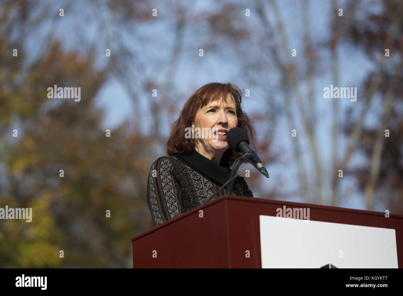 Diane evans in hi-res stock photography and images - Alamy