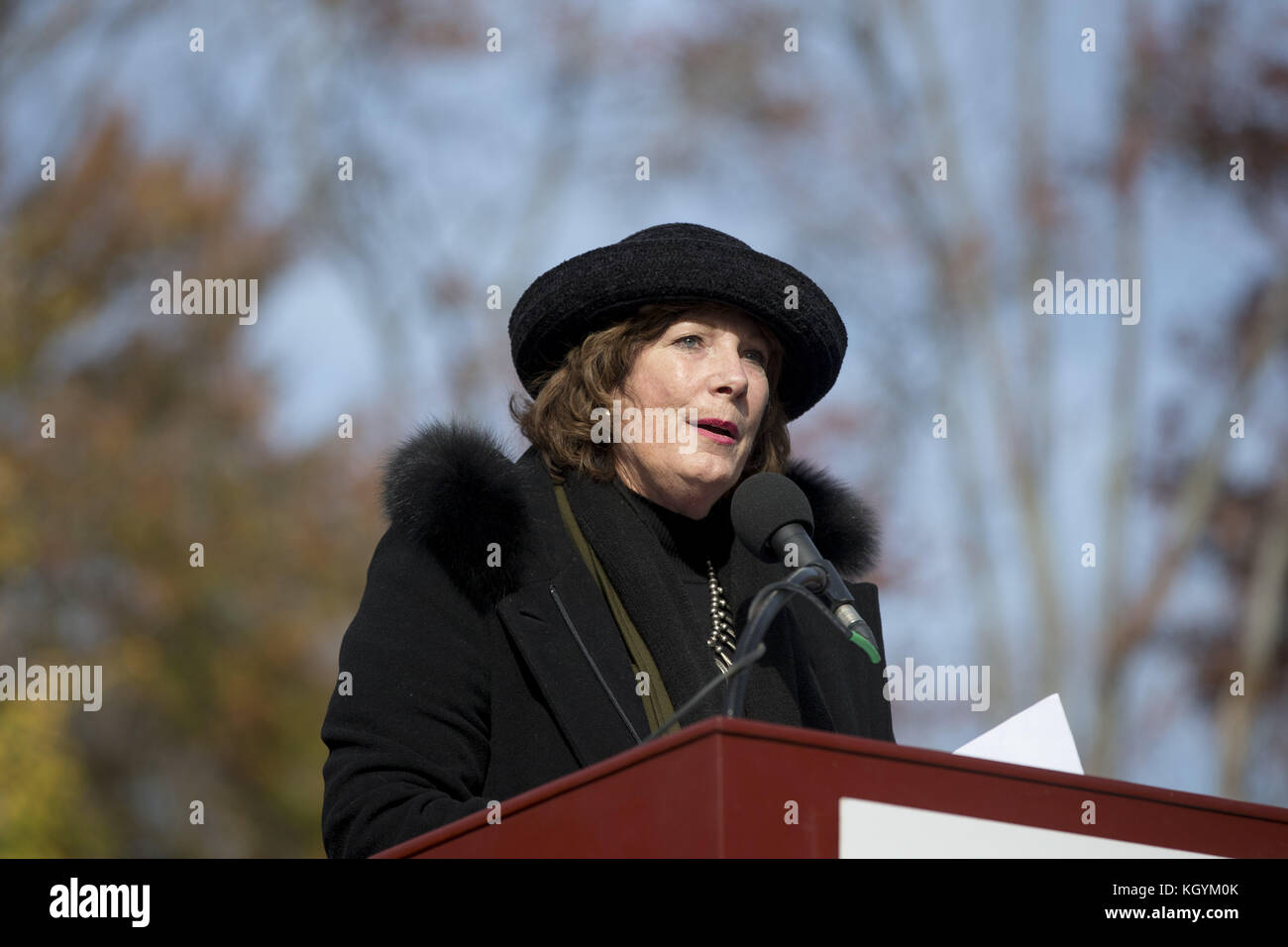 Army nurse corps hi-res stock photography and images - Alamy