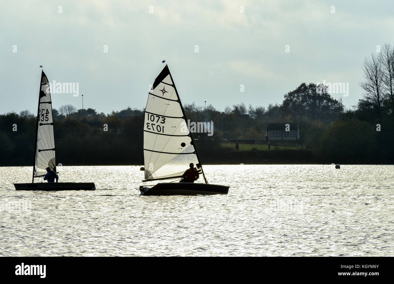 Sailing boats enjoying an afternoon on Chasewater Country Park amongst ...
