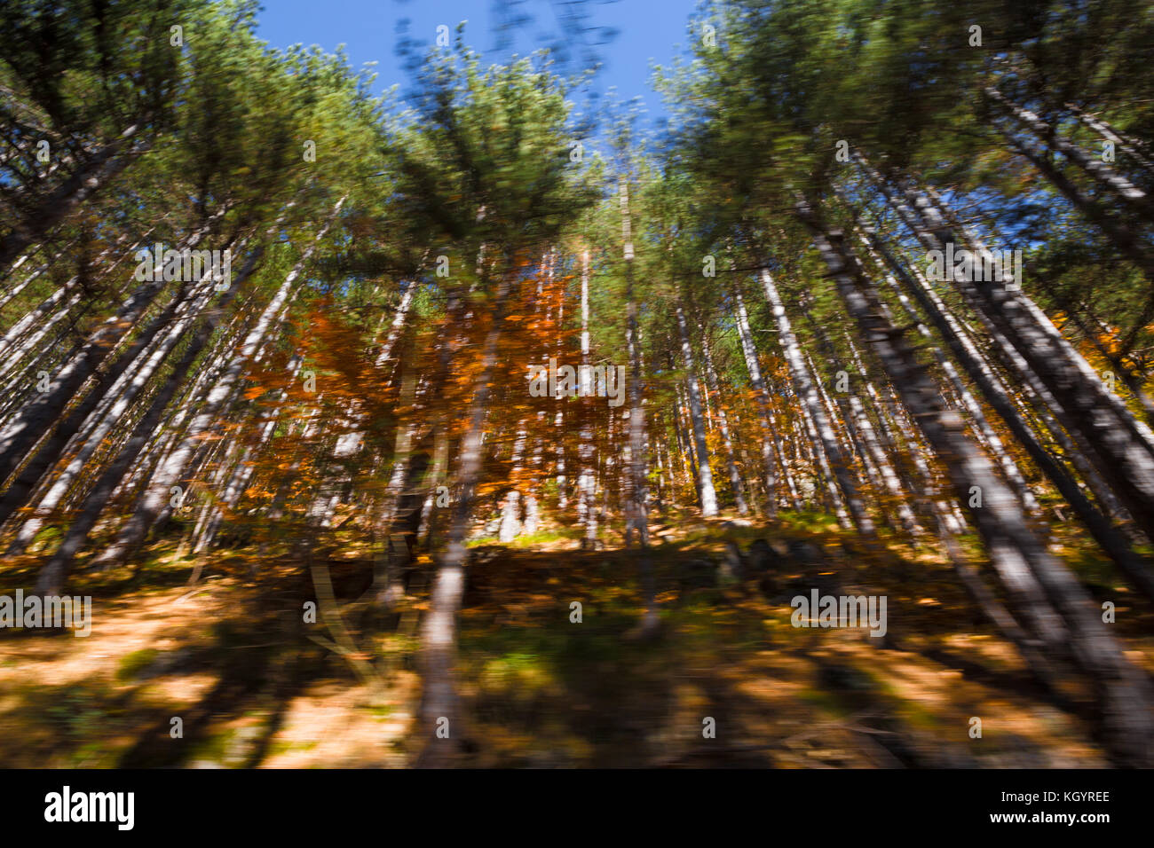 Abruzzo, Italy - Autumn colors Stock Photo - Alamy