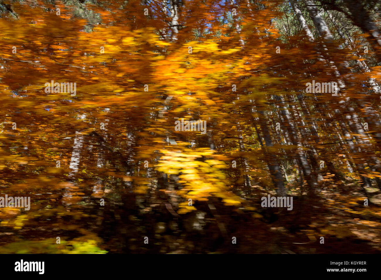 Abruzzo, Italy - Autumn colors Stock Photo - Alamy