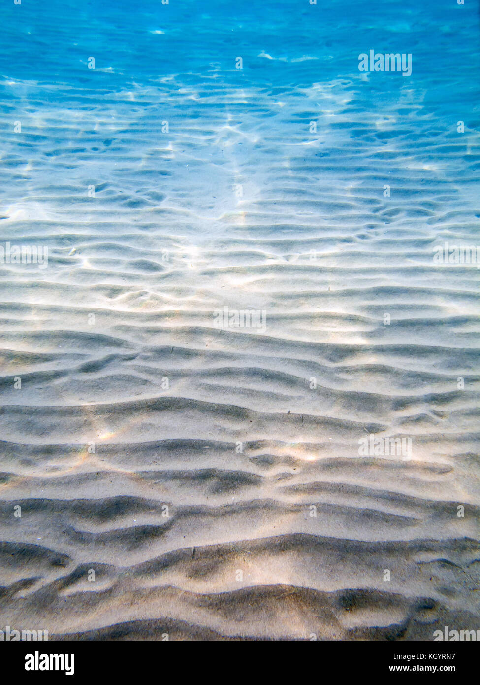 underwater landscape of a beautiful beach Stock Photo - Alamy