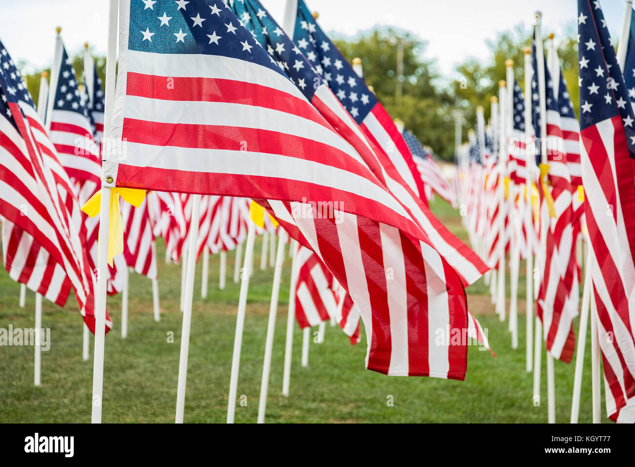 Field of Veterans Day American Flags Waving in the Breeze Stock Photo ...