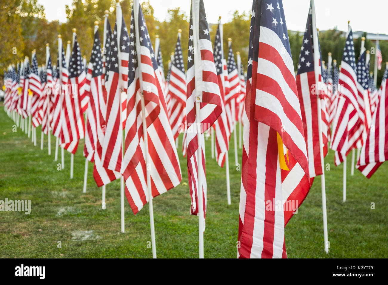 Memorial day field flags hi-res stock photography and images - Alamy