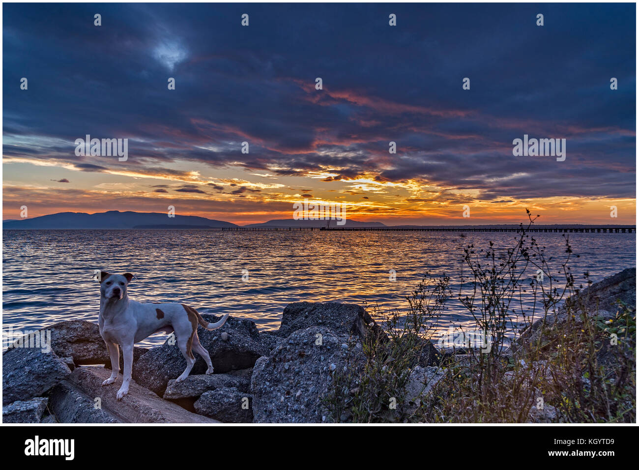 Bellingham washington sunset hi-res stock photography and images - Alamy