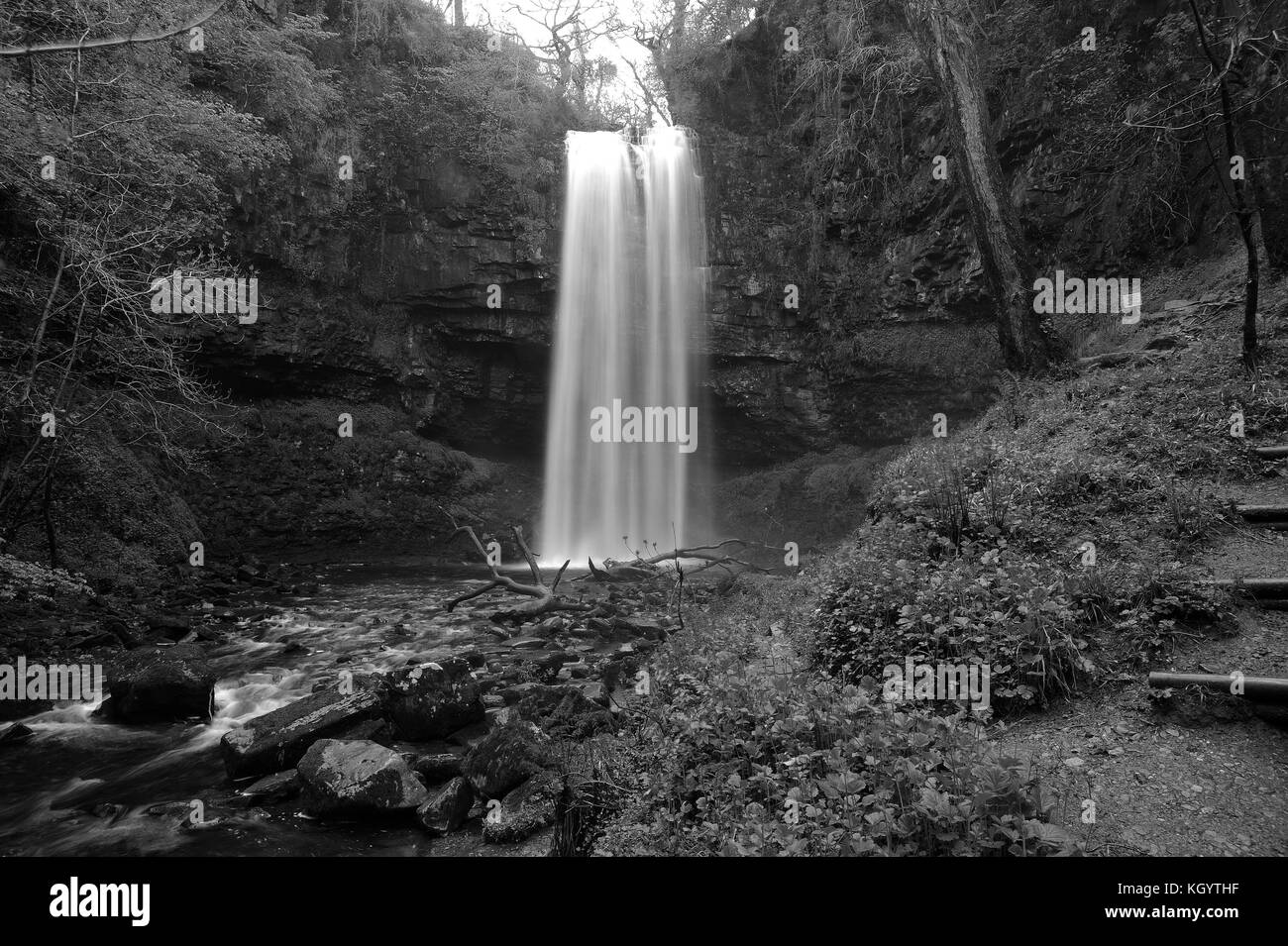 Henrhyd Falls / Sgwd Henrhyd. At 90 feet, this is the tallest waterfall ...