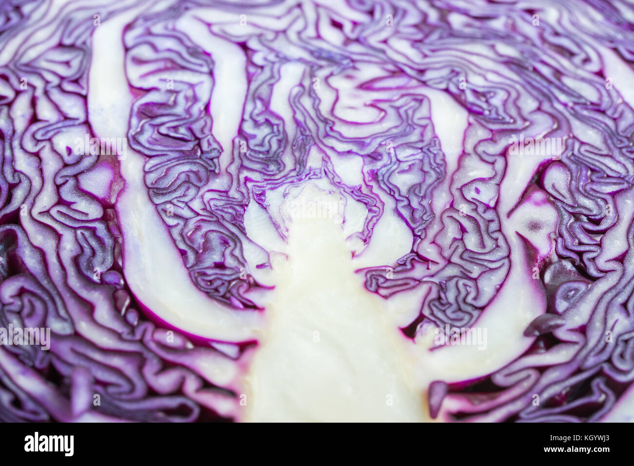 Red Cabbage Cooking Detail Structure Stock Photo - Alamy