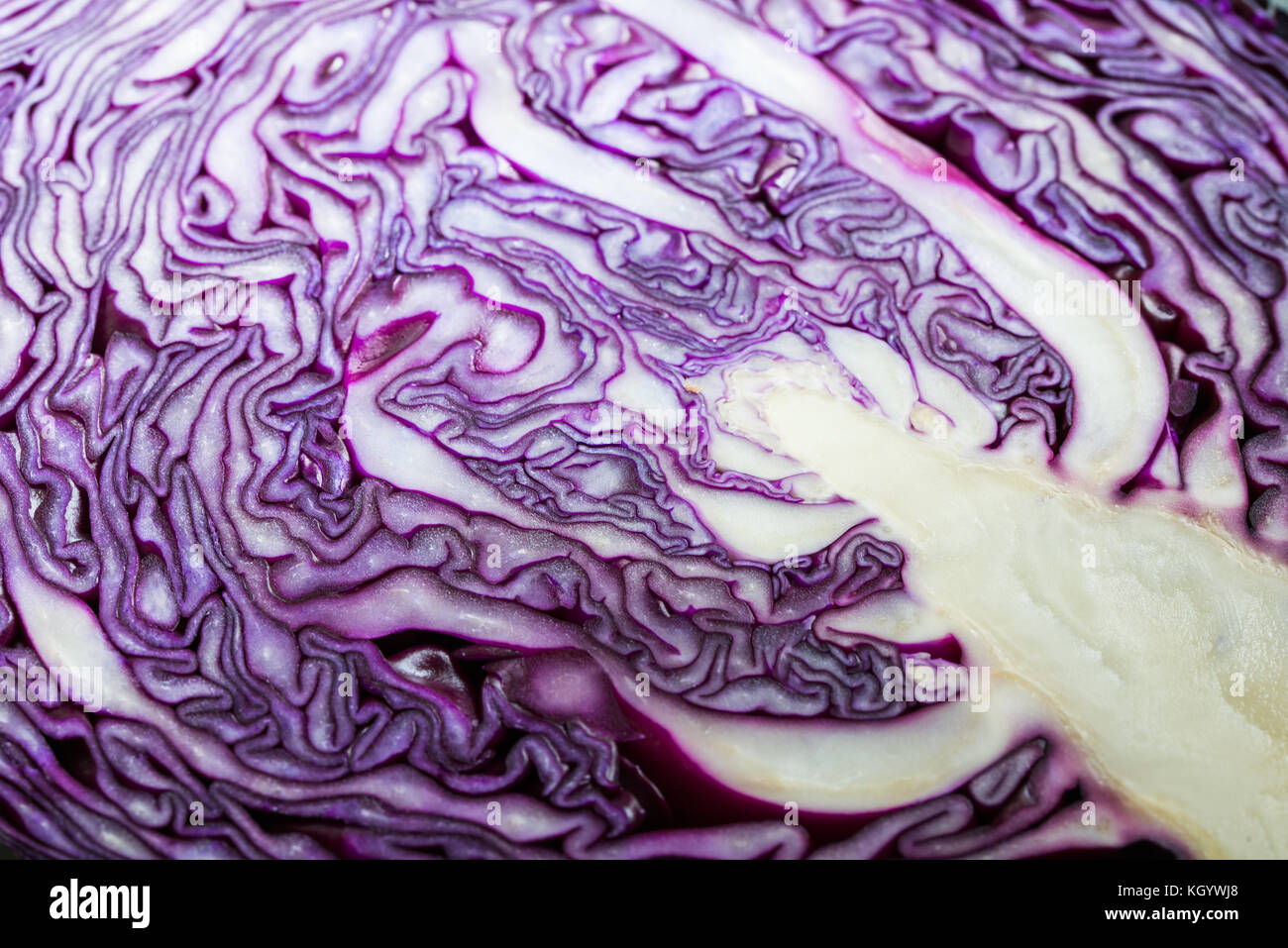 Red Cabbage Cooking Detail Structure Stock Photo - Alamy