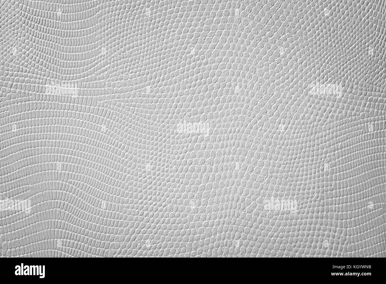 Blue snake skin hi-res stock photography and images - Alamy