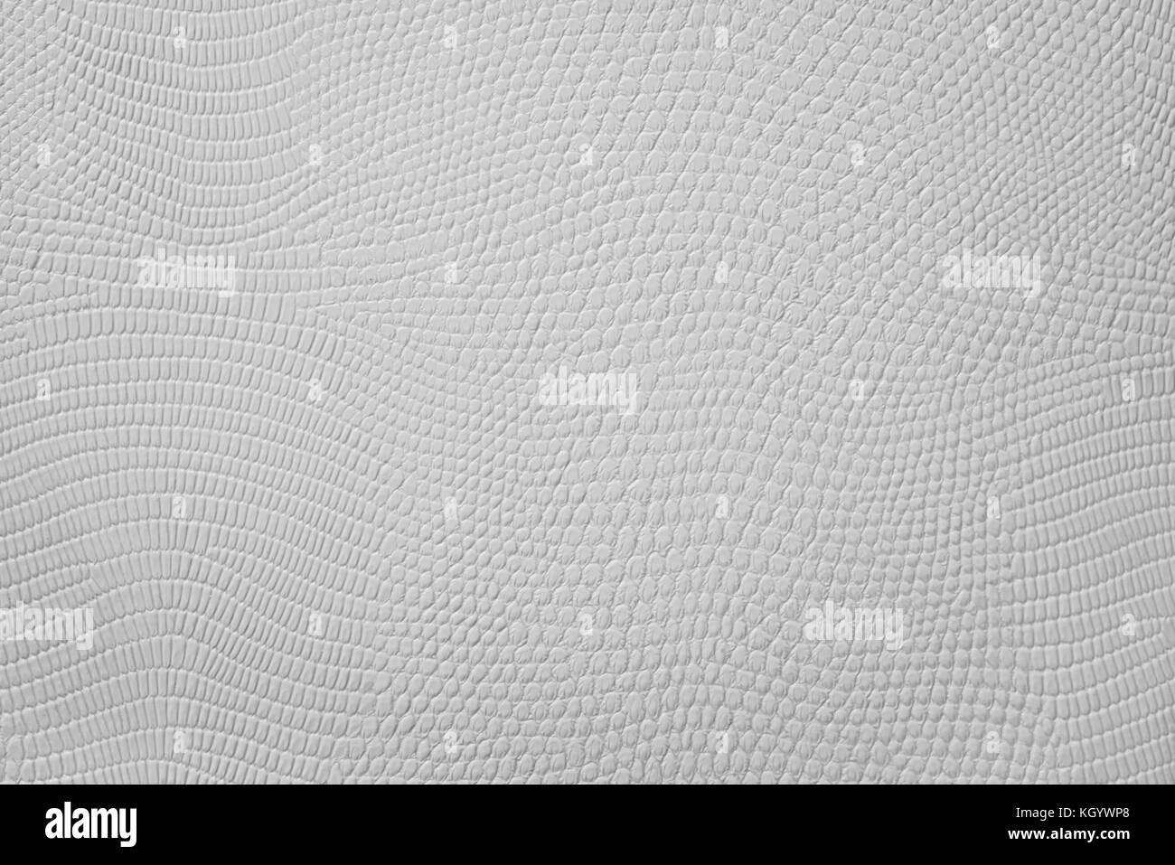 Snake skin print Black and White Stock Photos & Images - Alamy