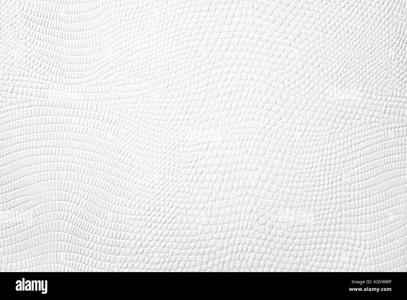 White Snake Skin Texture