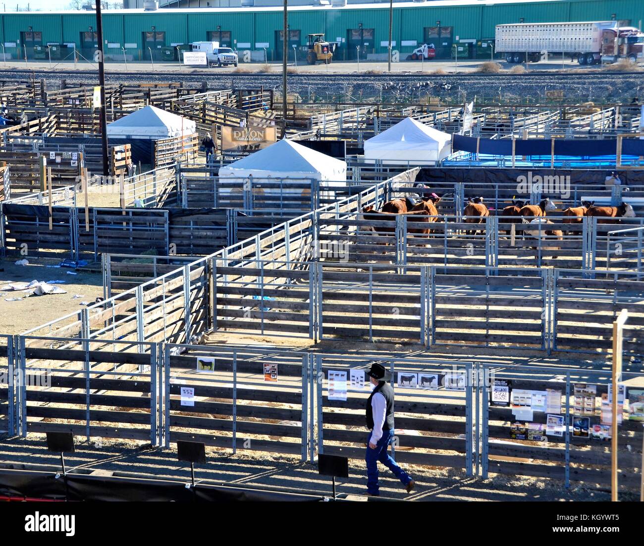 Rodeo cowgirls on horses hi-res stock photography and images - Alamy