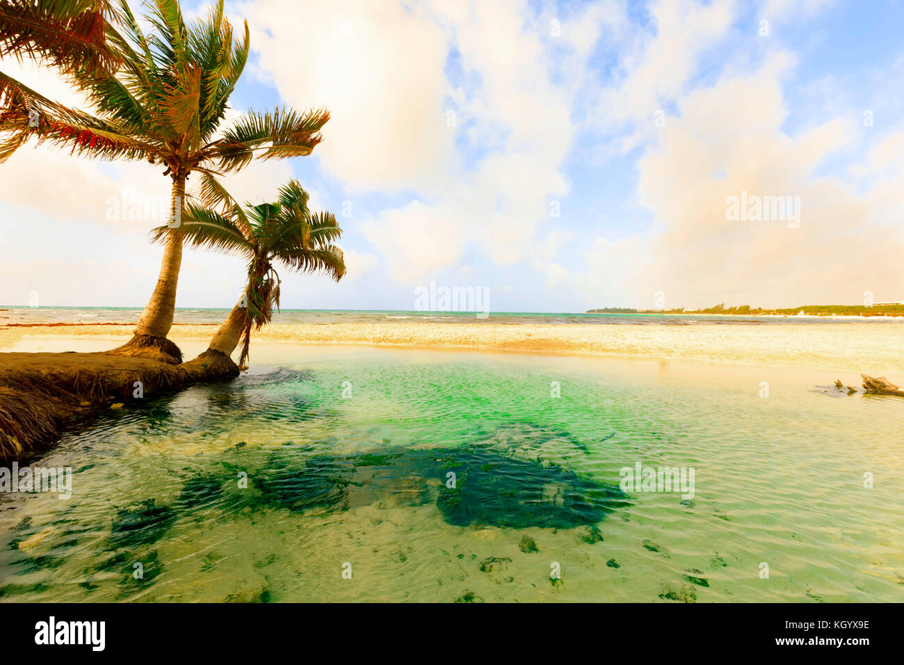 View of a tropical Caribbean Island paradise Stock Photo - Alamy