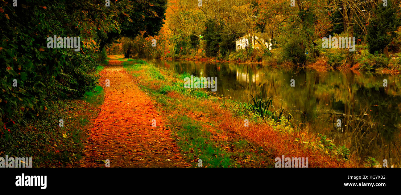 Colorful fall scenery Stock Photo - Alamy