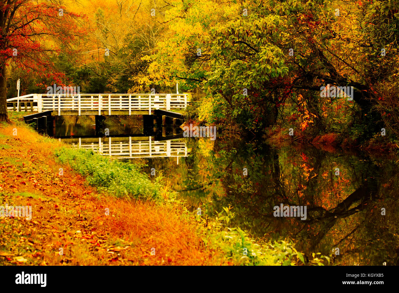 Colorful fall scenery Stock Photo - Alamy