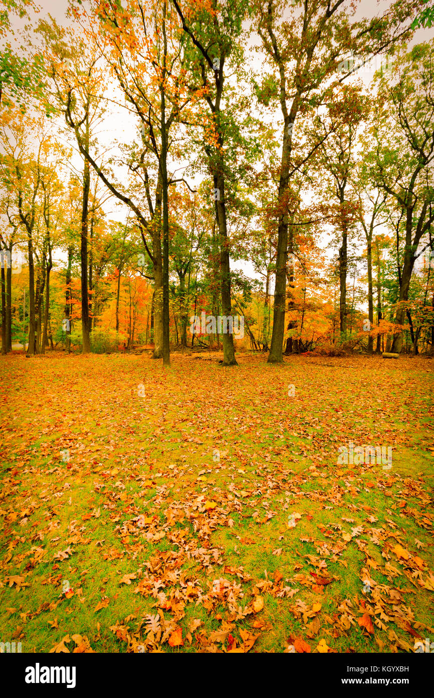 Colorful fall scenery Stock Photo - Alamy
