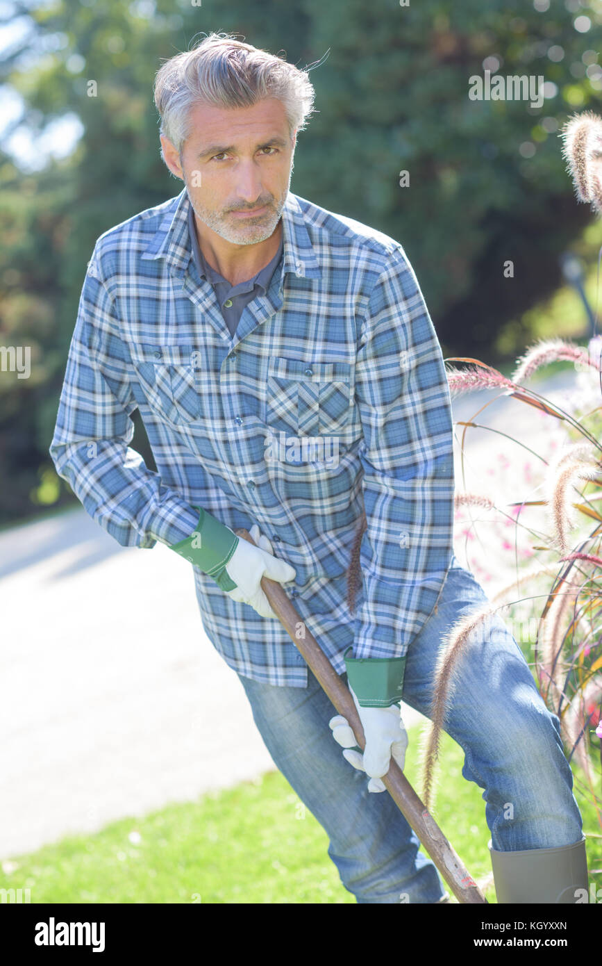 digging for planting Stock Photo - Alamy