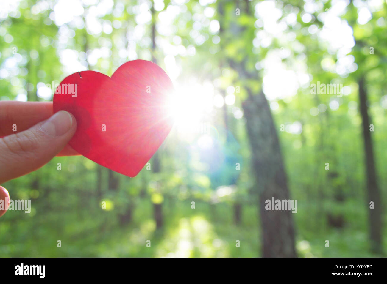 hand holding heart on forest background. blur. love to natuer concept ...