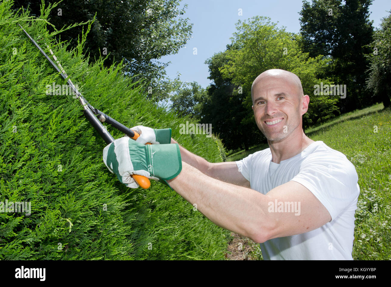 cutting and landscaping Stock Photo - Alamy