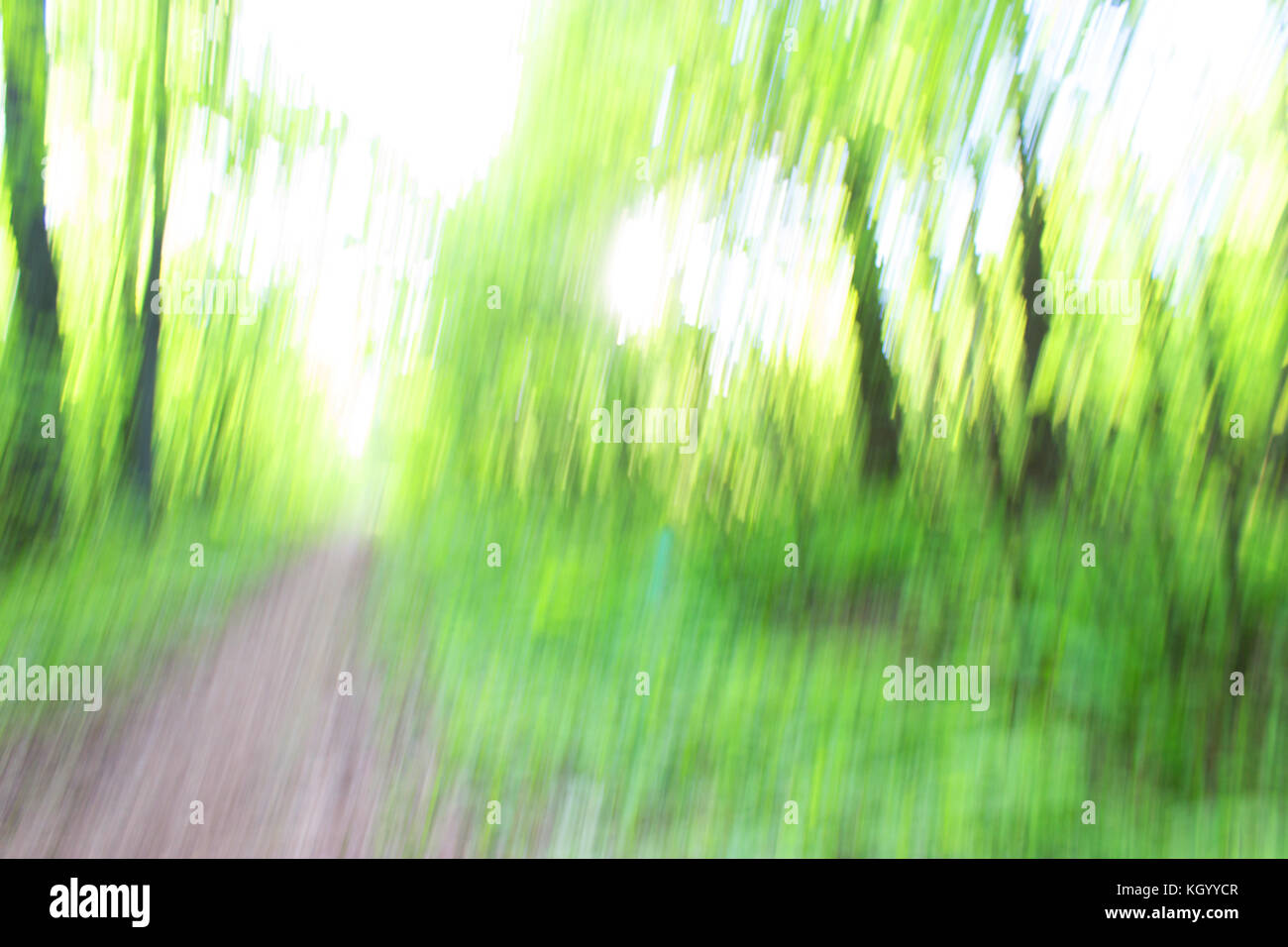 blurred forest background. green nature ecology concept Stock Photo - Alamy