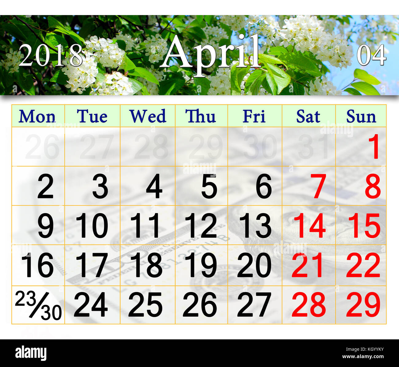 calendar for April 2018 on the background of spring bird cherry tree ...