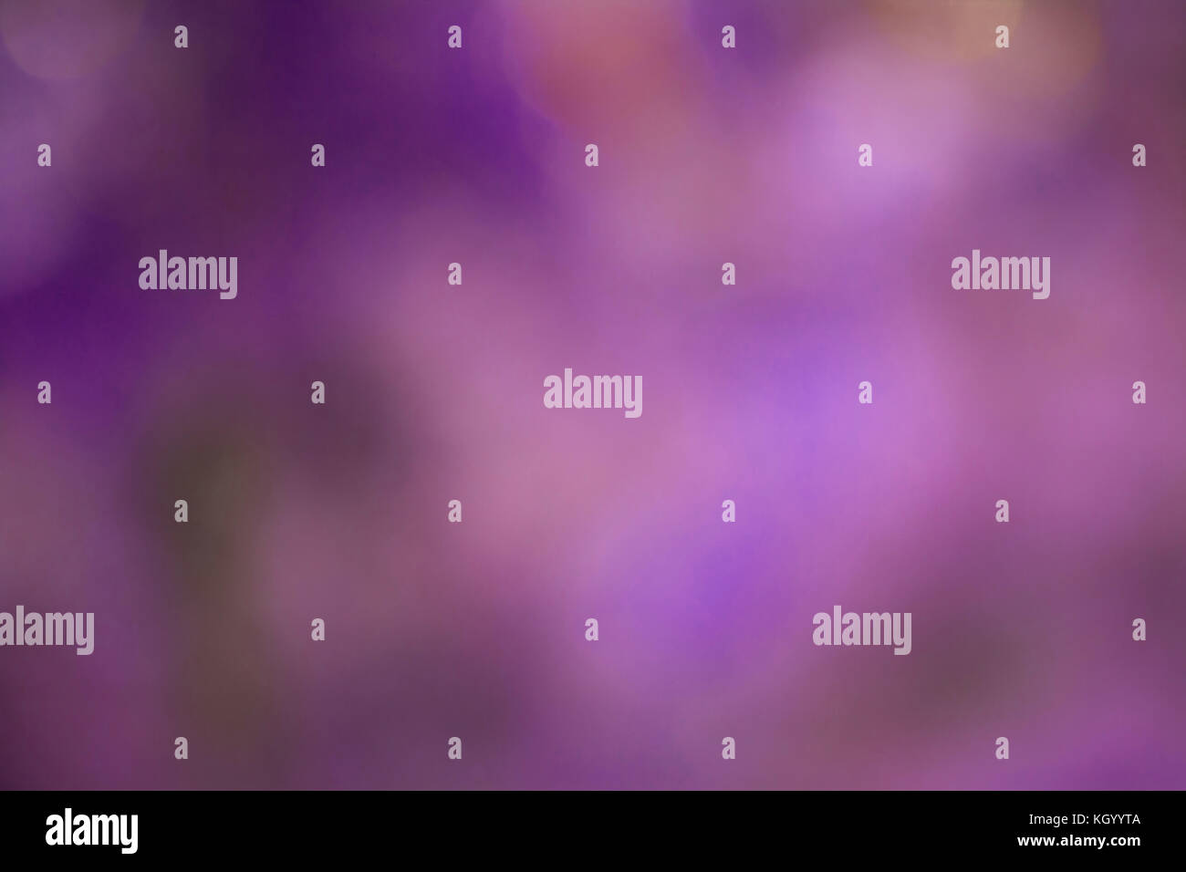 abstract blurred background in violet and purple colors Stock Photo - Alamy