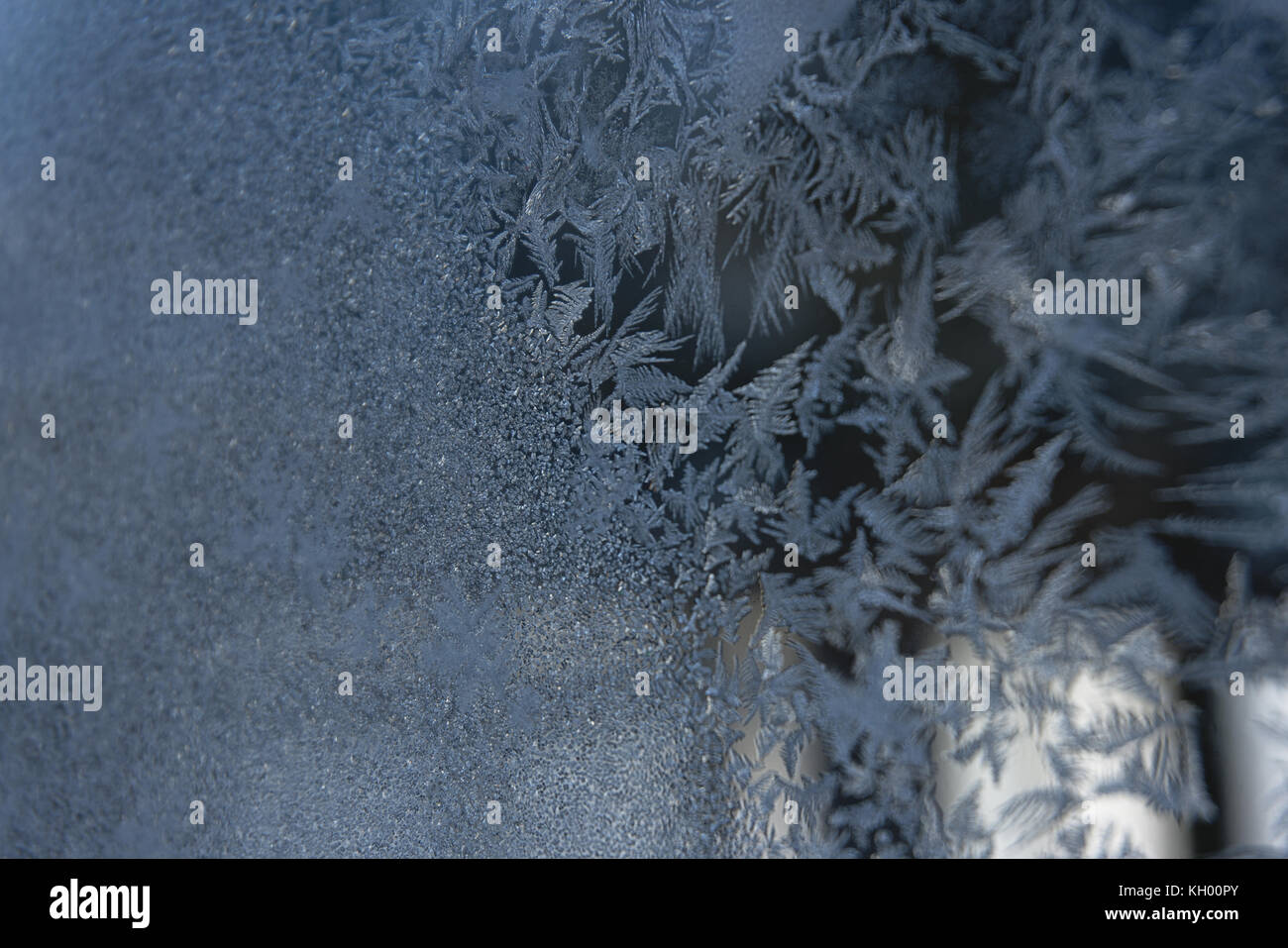 Frost flowers on a window Stock Photo - Alamy