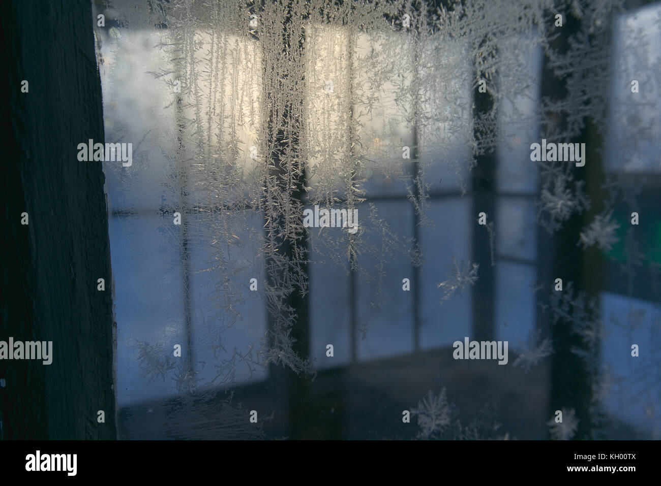 Frost flowers on a window of a garden lodge Stock Photo - Alamy