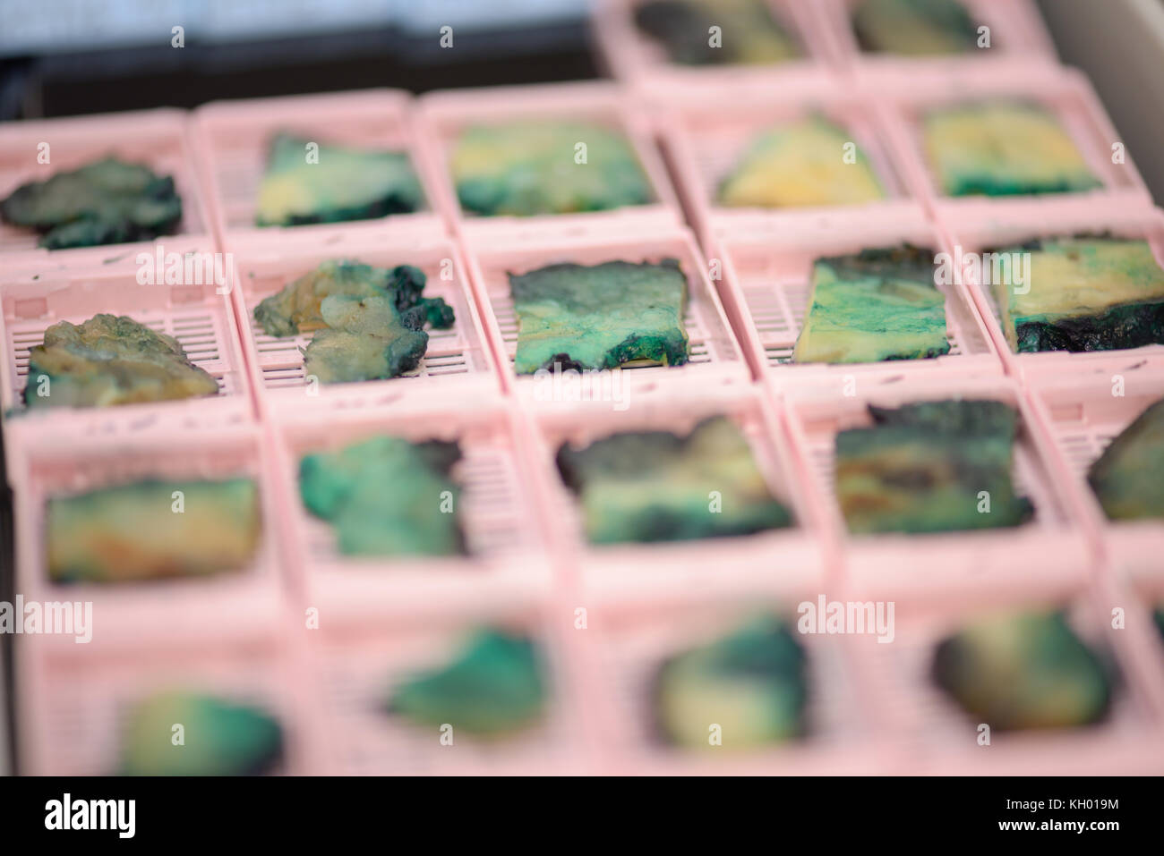 Tray of samples Stock Photo - Alamy