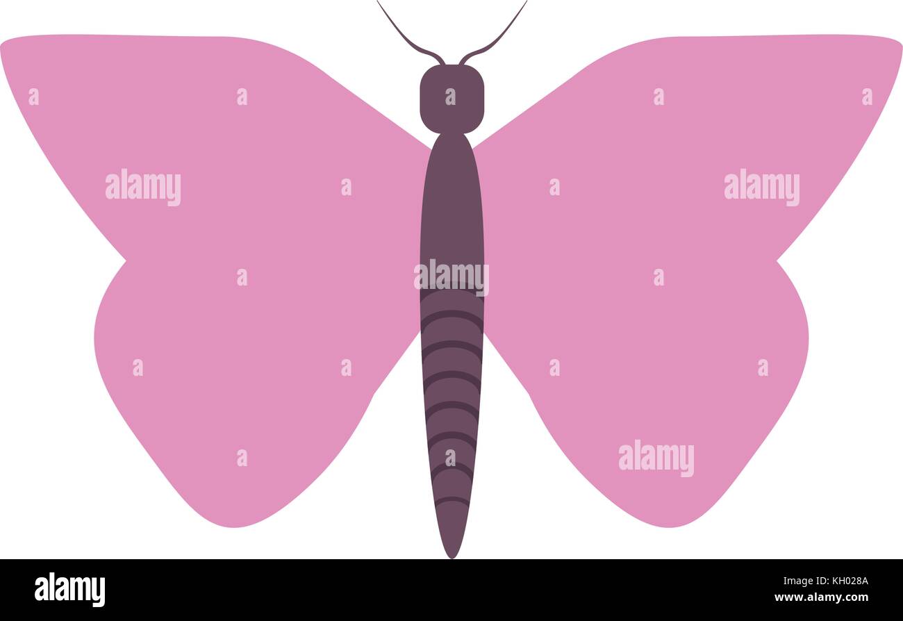 Beautiful buttefly symbol Stock Vector Image & Art - Alamy