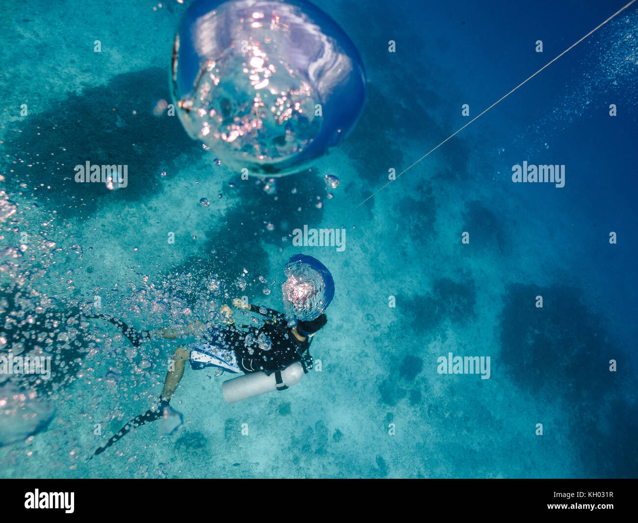Scuba diving in Indonesia Stock Photo - Alamy