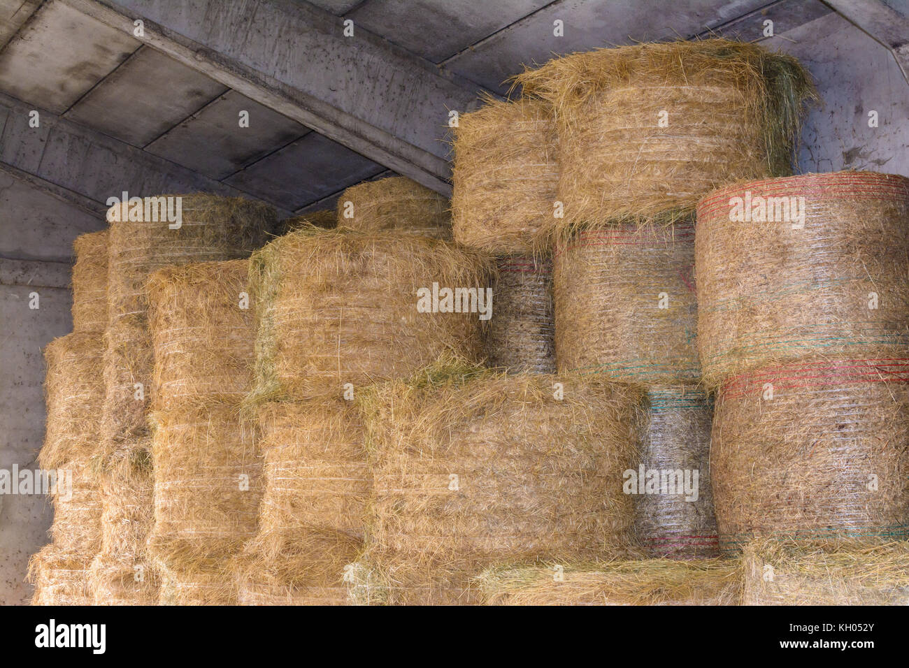 Forage bales hi-res stock photography and images - Alamy