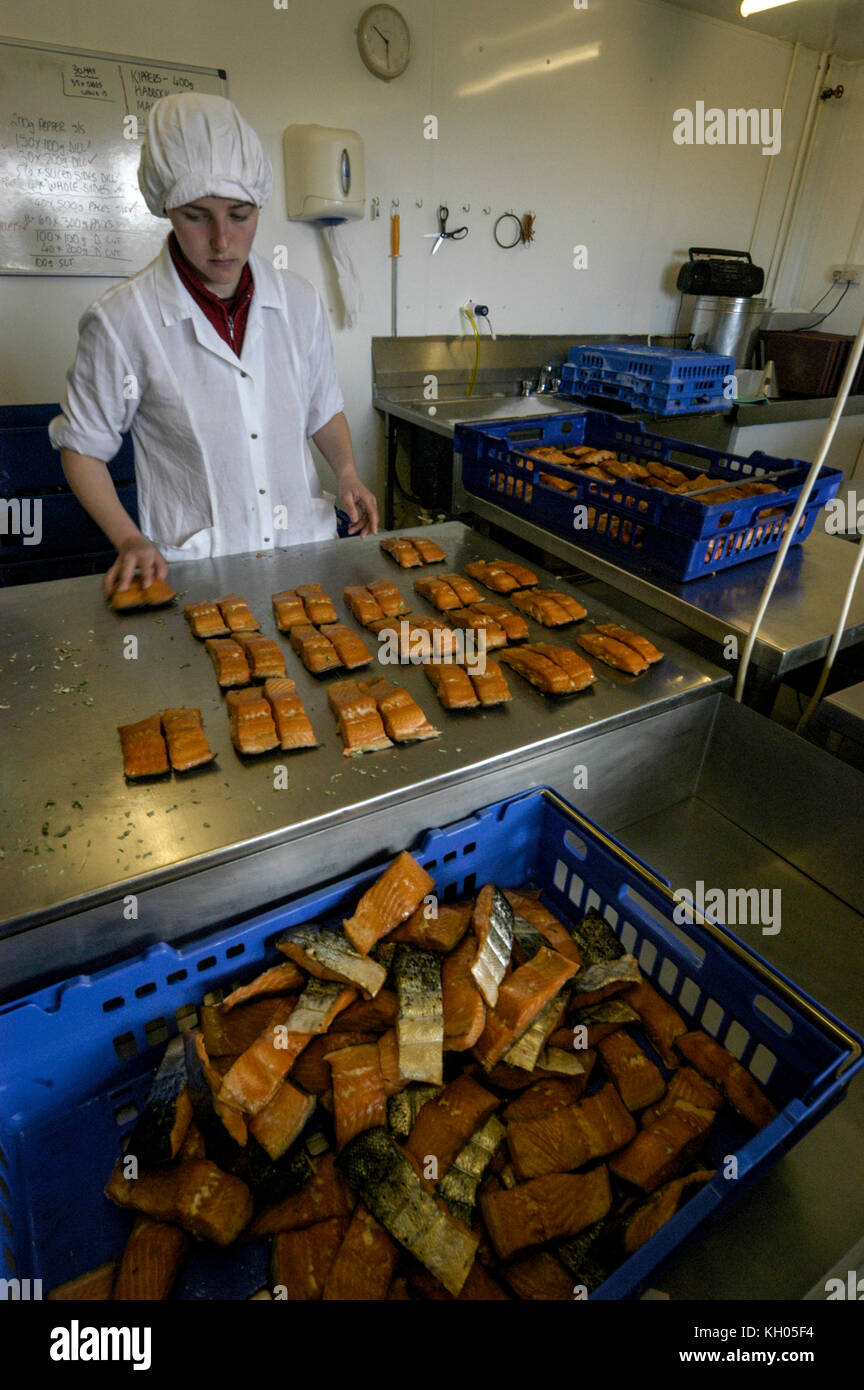 A member of staff packing fillets in the packing department at a ...