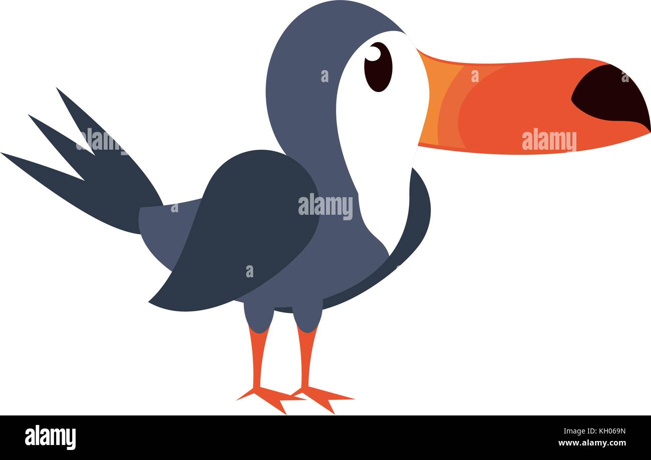 Cute tucano bird Stock Vector Image & Art - Alamy