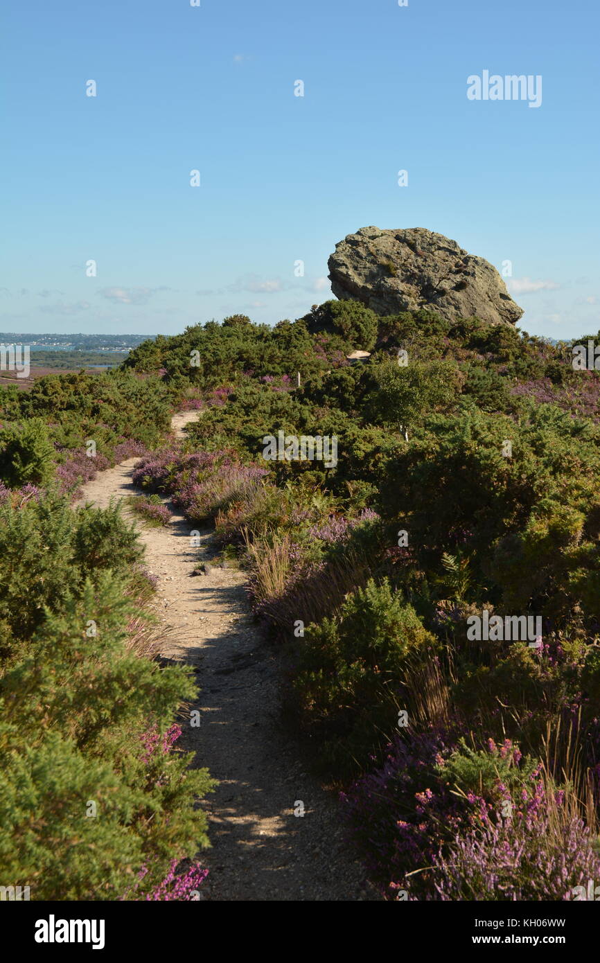 Agglestone hi-res stock photography and images - Alamy