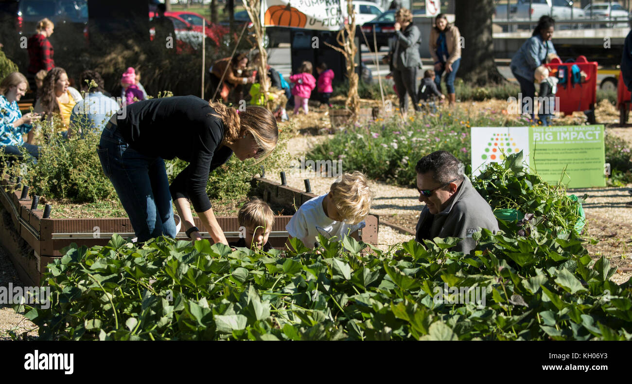 Community Vegetable Garden