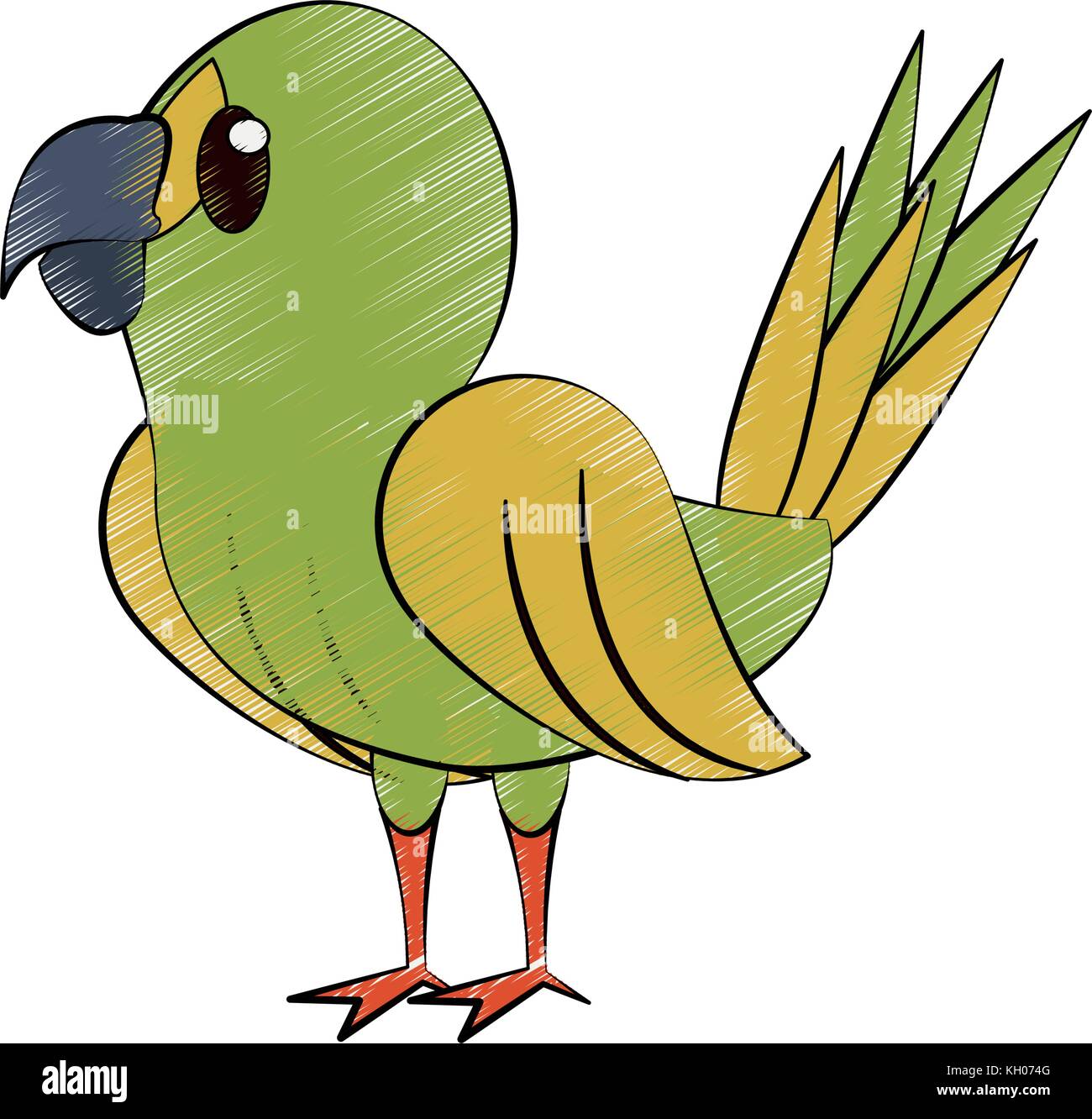 Cute parrot bird cartoon Stock Vector Image & Art - Alamy