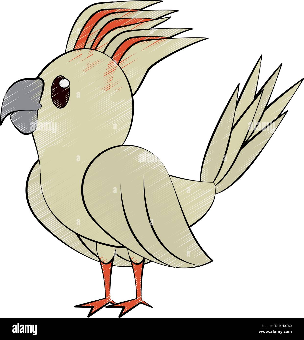 Cute parrot bird cartoon Stock Vector Image & Art - Alamy