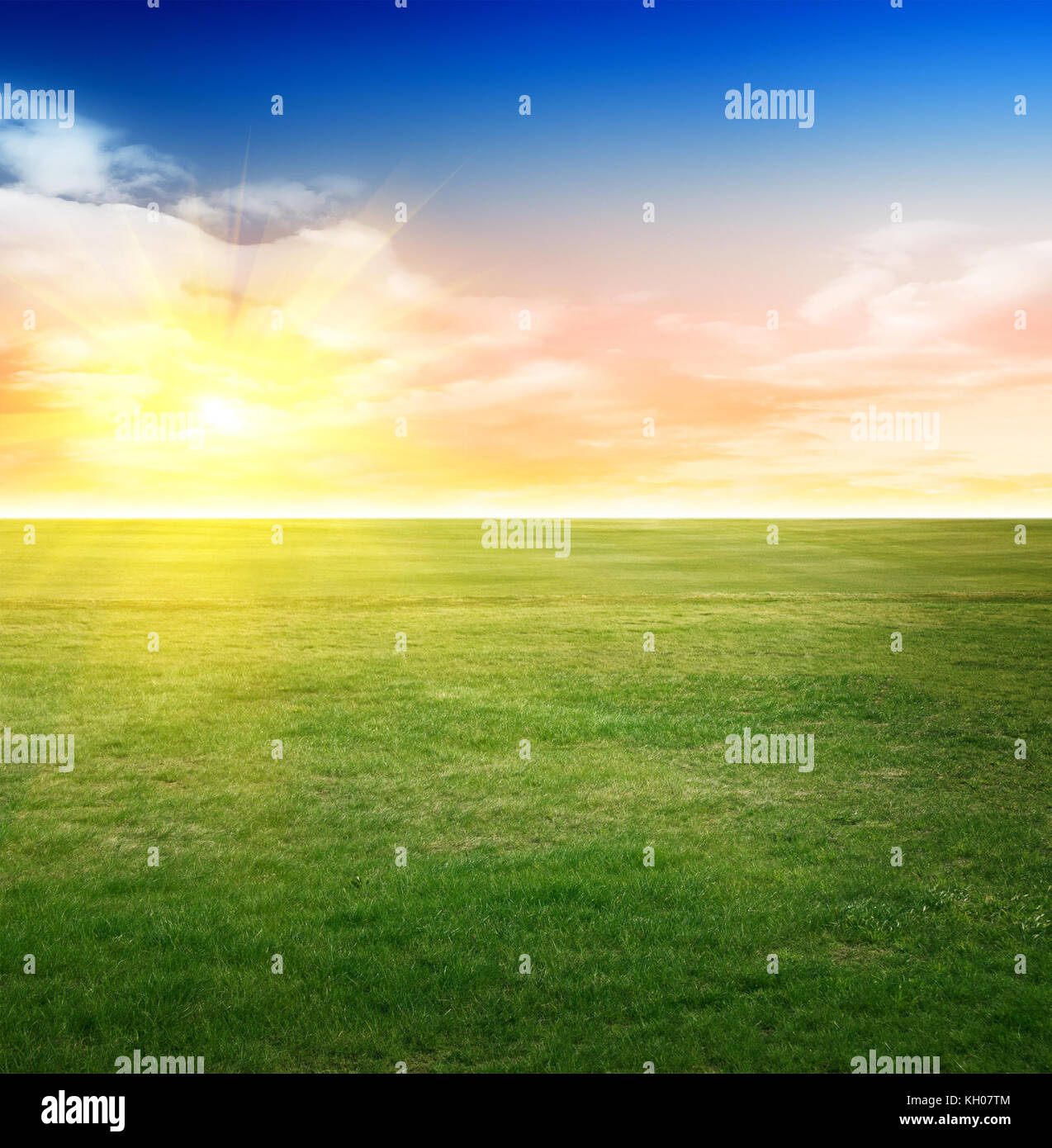 Summer field background. Natural landscape outdoor scene Stock Photo ...