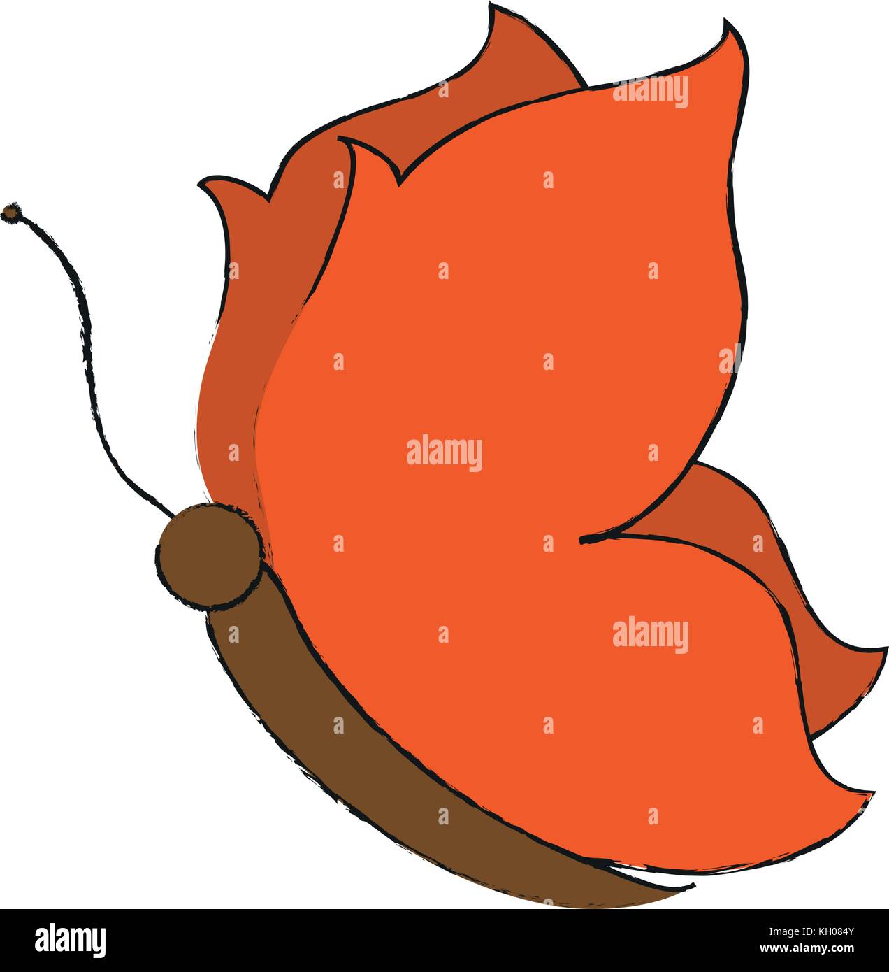 Beautiful butterfly symbol Stock Vector Image & Art - Alamy