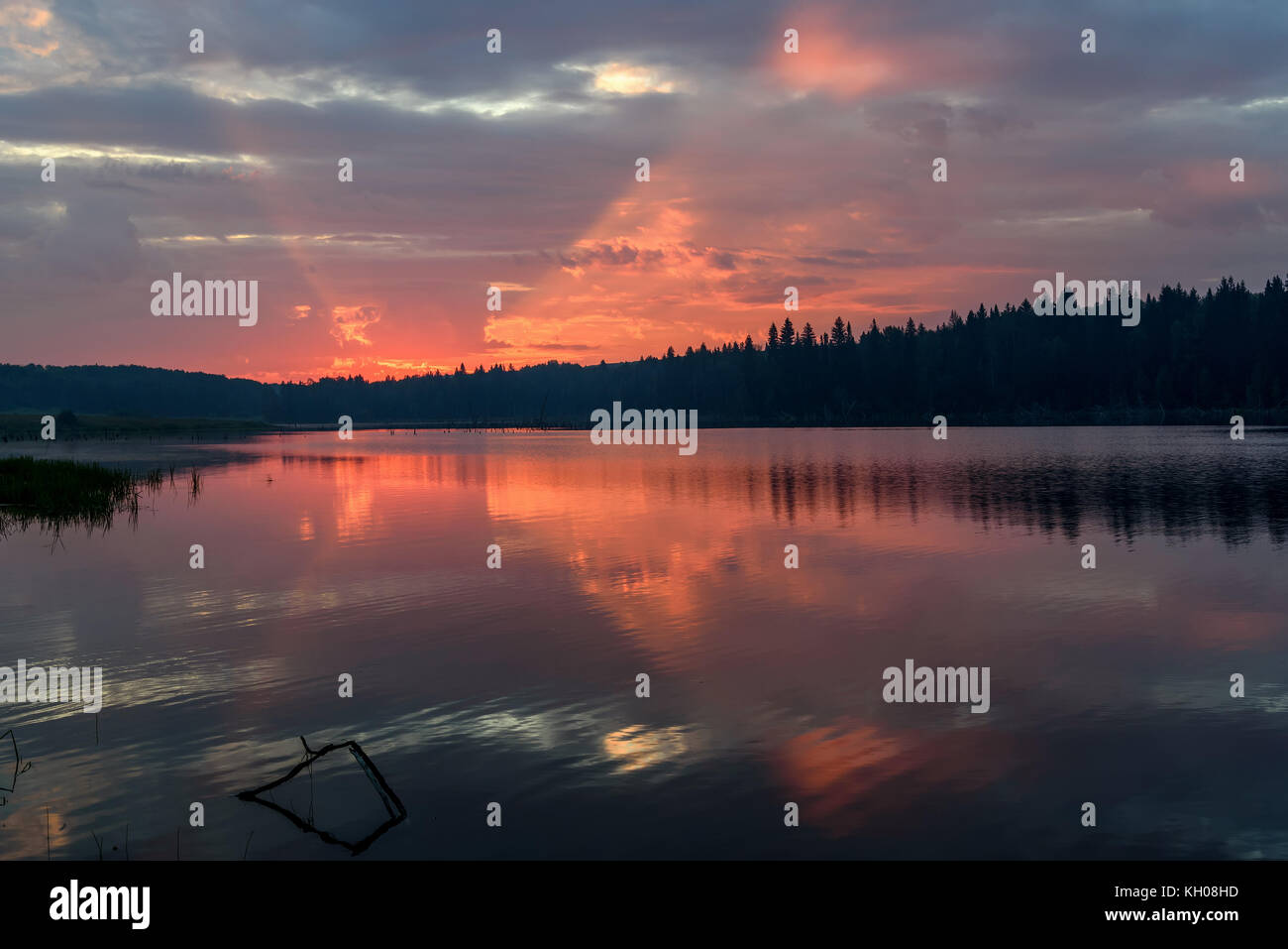Scenic delicate pink sunrise on the lake with beautiful clouds, trees ...