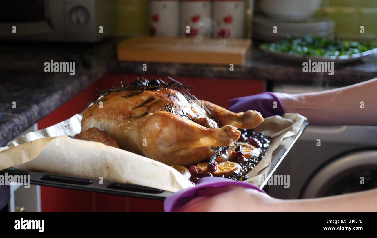 Female Hands Take Out Roasted Whole Chicken on tray From Hot Oven Stock ...